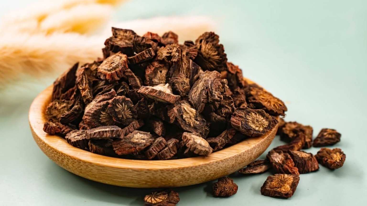 Dan Shen – Benedictine Herbs